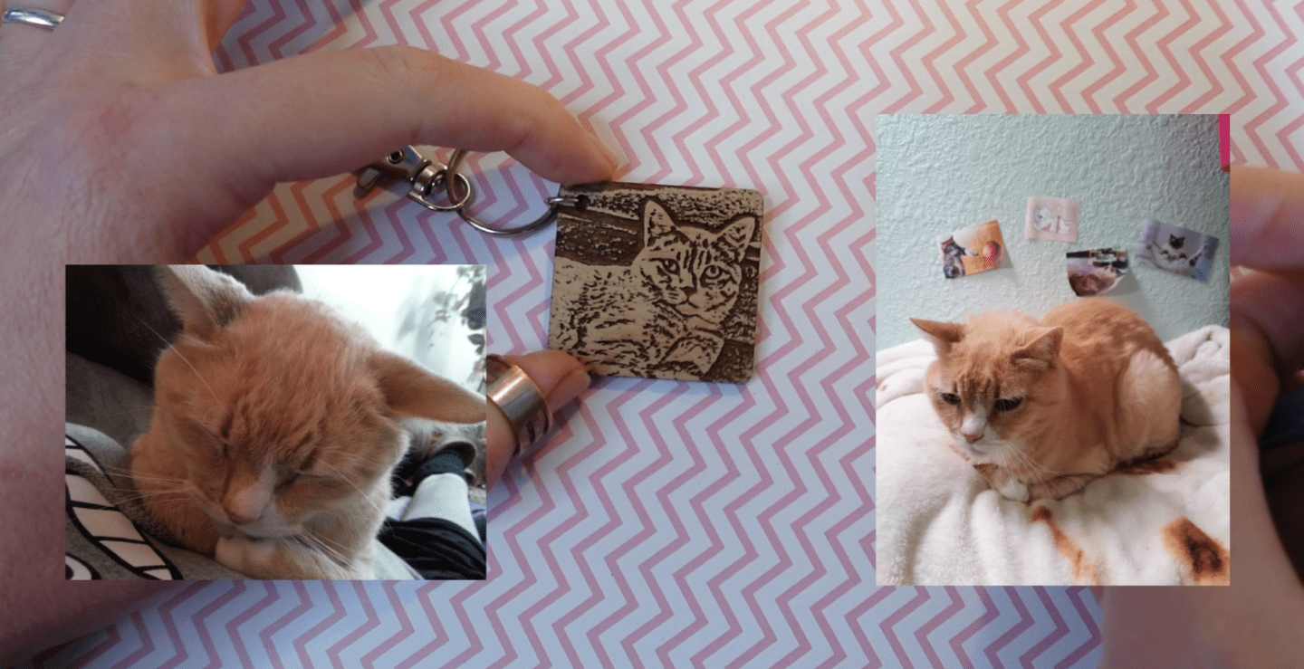 2 Alternative Ways to Prepare a Color Photo for Laser Engraving – Learn ...